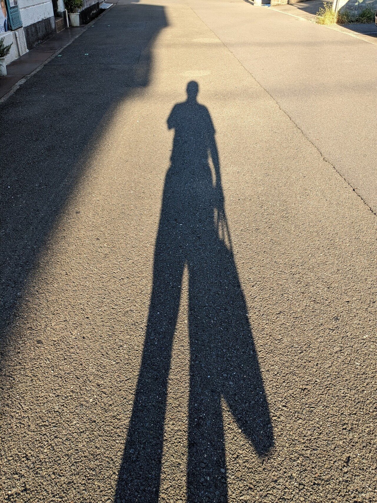 70.3kg 一進一退でもあるが 70kgが当たり前になってきた 一直線にはいかないね お酒もなかなか断てないww でも12月31日までに 65kgなっているのが分かる 楽しみ ...