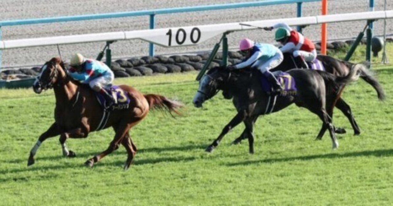 【菊花賞（G1）回顧～その先へ】日刊コンピ篇｜Haya