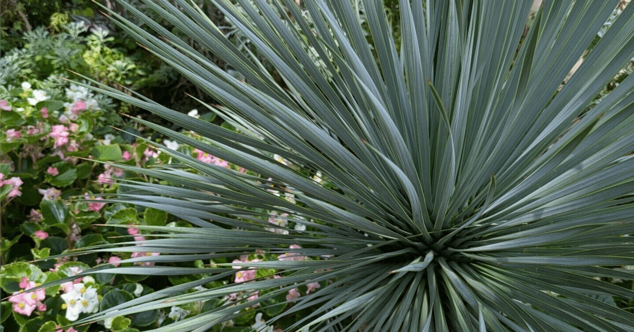 GPTさんに、石原莞爾さんになってもらいました。｜T_yokoiのLifeShift体験記＠今だけフォロバ100(ギャンブル除く）