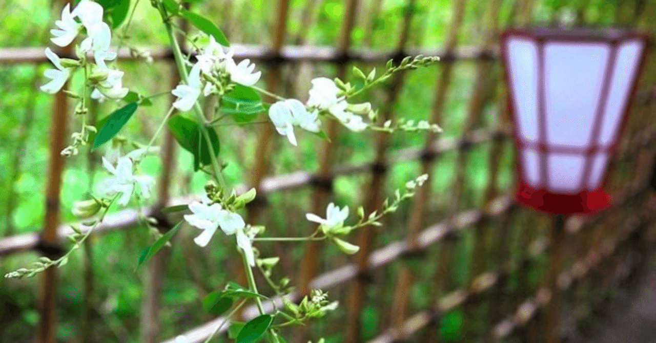 🌠CDTV🌌｜naho-21