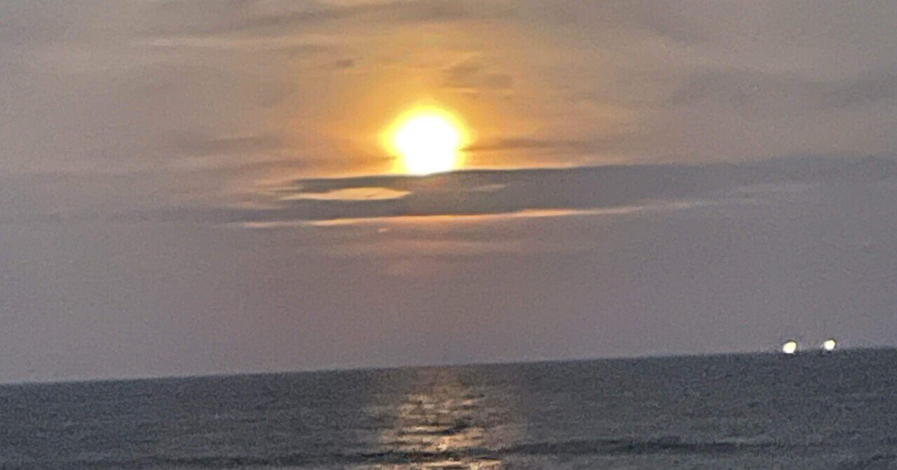 自己紹介｜yucca