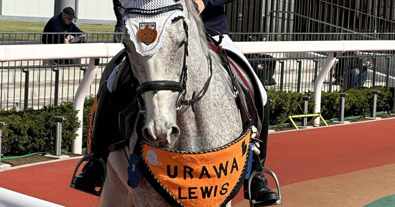 10/22浦和競馬🐴1R〜4R予想！！(自信あり‼️🎯)｜帯取るきりんさん