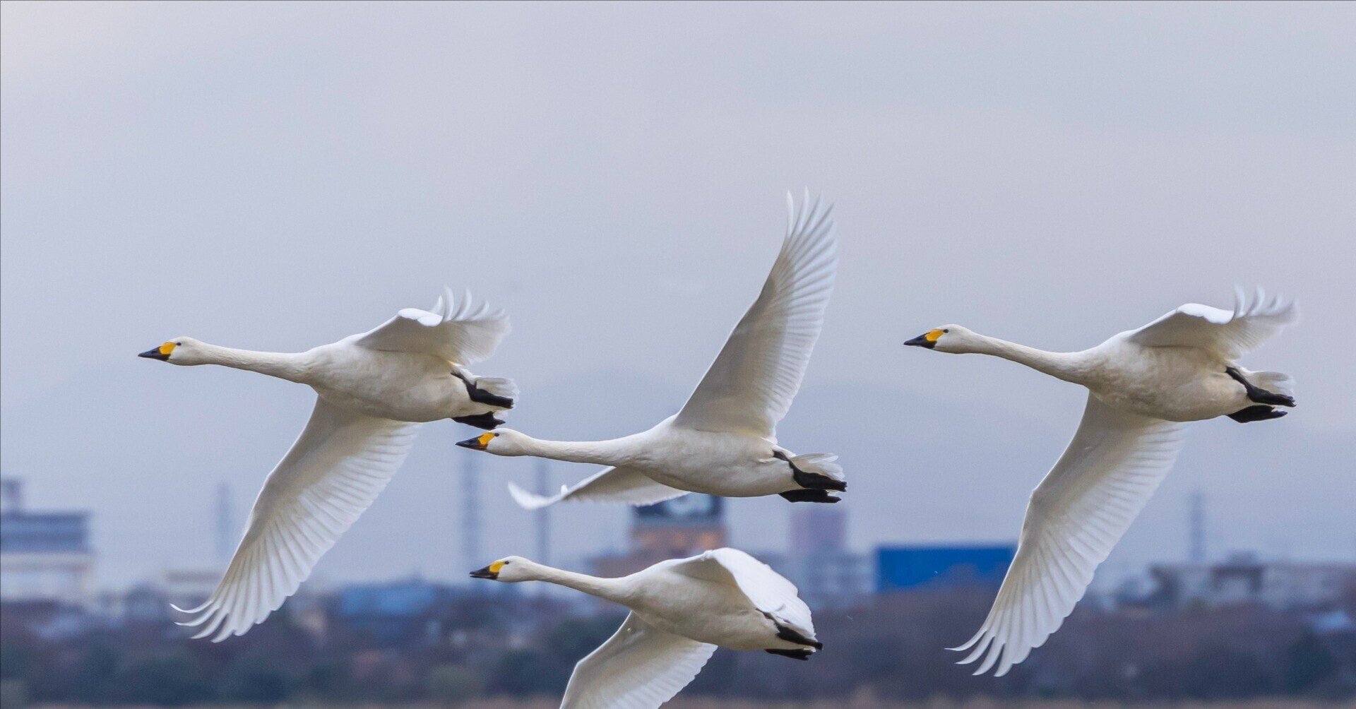 Photographer Go Nagai｜note