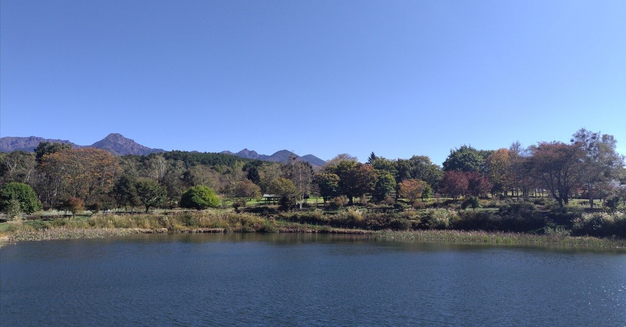 真実の友｜coco.mile