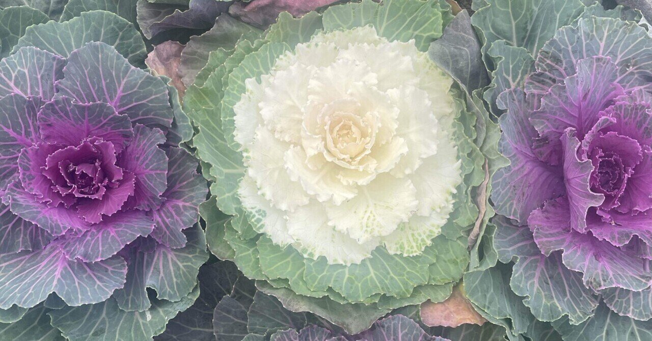 ハグしてくんねぇ？｜terui akane