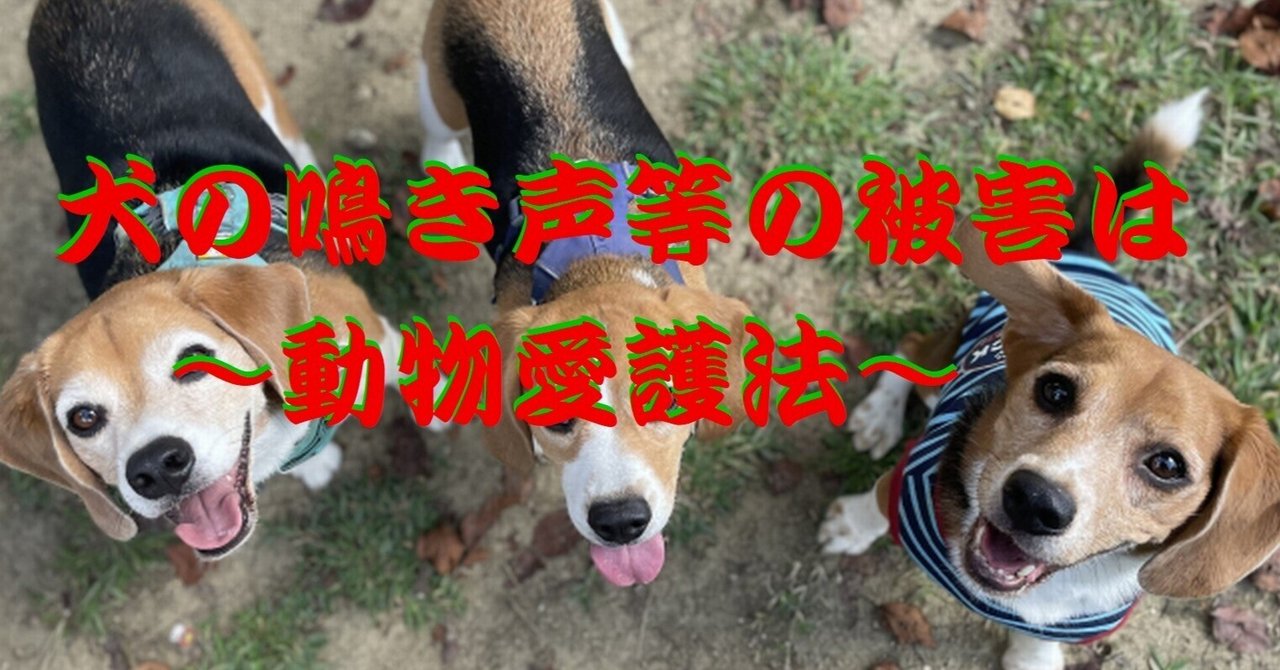 犬の鳴き声等の被害は ～動物愛護法～｜cyo99