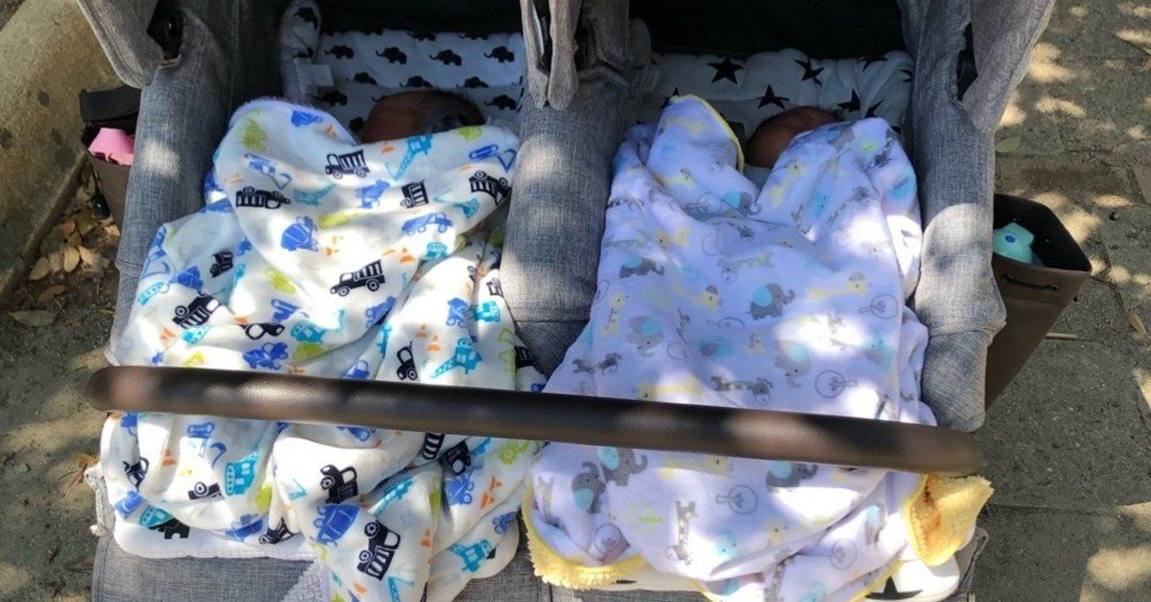 【双子育児】移動〜バギー編〜｜トモリンゴ