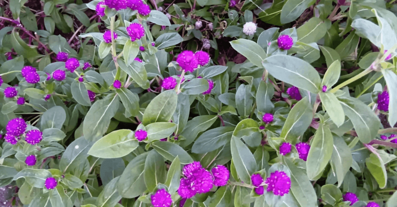 ubuntu 24.04 node.js install｜blue06_2022