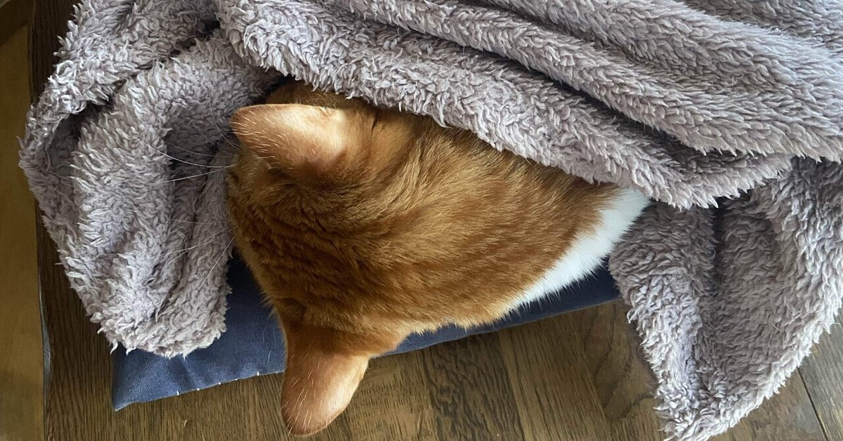 睡眠について｜mutaro