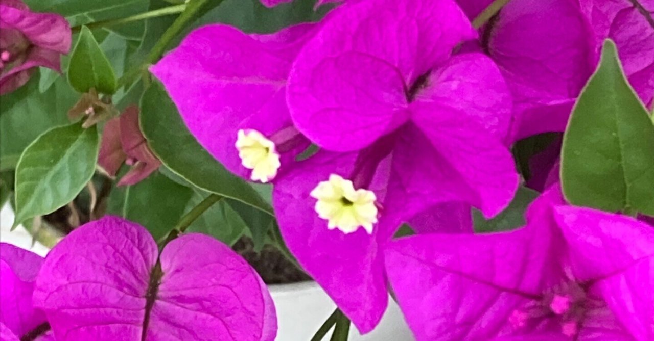 Yukihiko Yamada ｜note