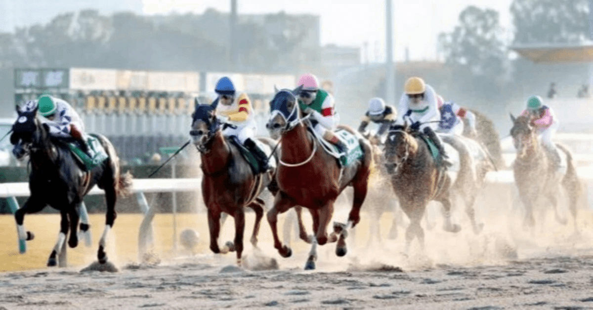 【2024 みやこS（G3）】日刊馬番コンピ指数分析予想篇｜Haya