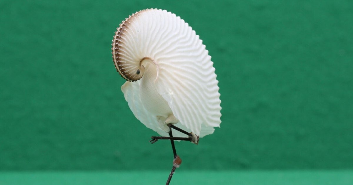 「凍 鶴」｜zoo_shell