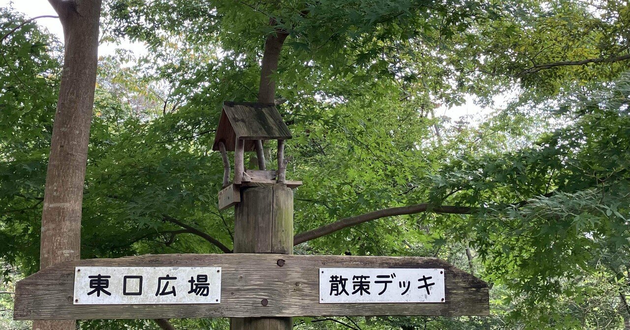 2.狭山緑地の四季折々(2024/10/19)｜yoshie_FW