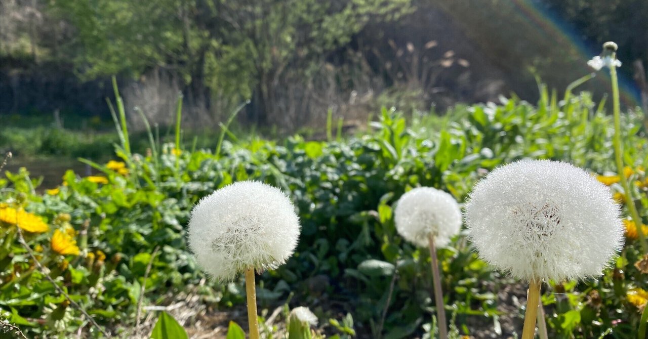 多くの情報より、少しのほっとした時間を｜Satoko Nakamura