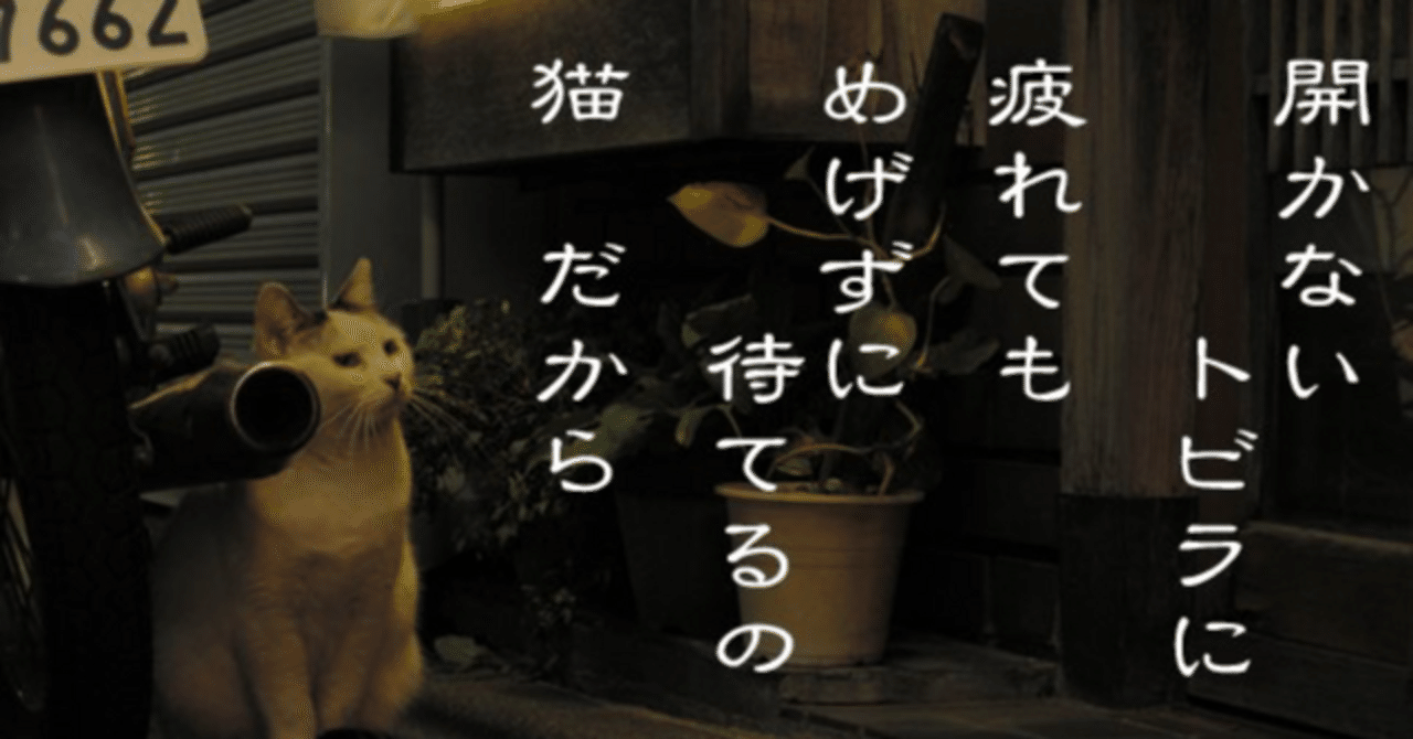 楽天光が解約できなくて困ったので、メモしていたお役立ち情報｜kento Ishida