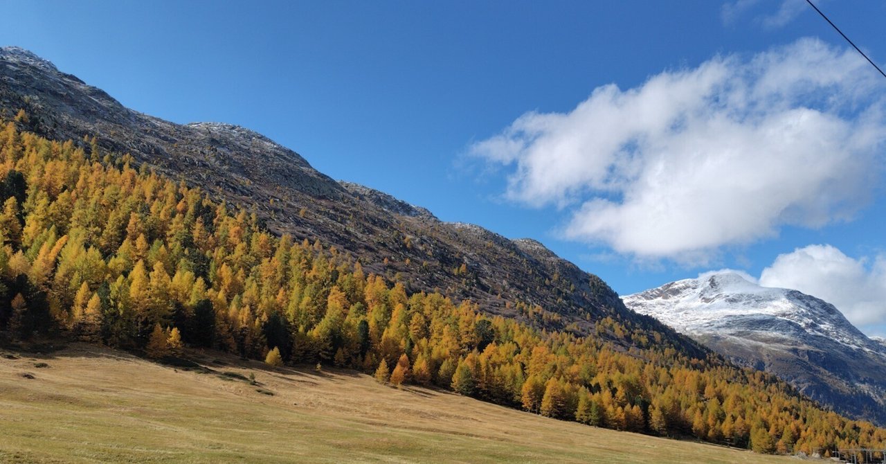 【旅の途中経過】今回の旅の目的は果たせたか？｜mariko🐈‍⬛