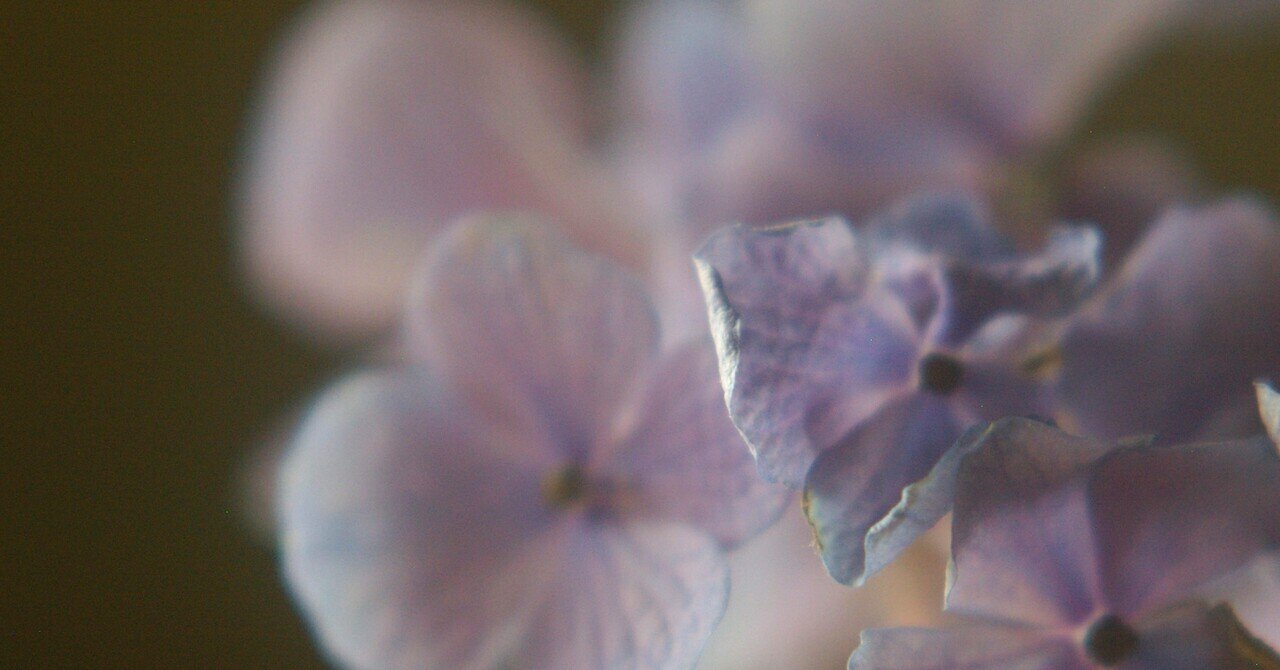 尊さ」から。・。・。｜Cosmic Suzu