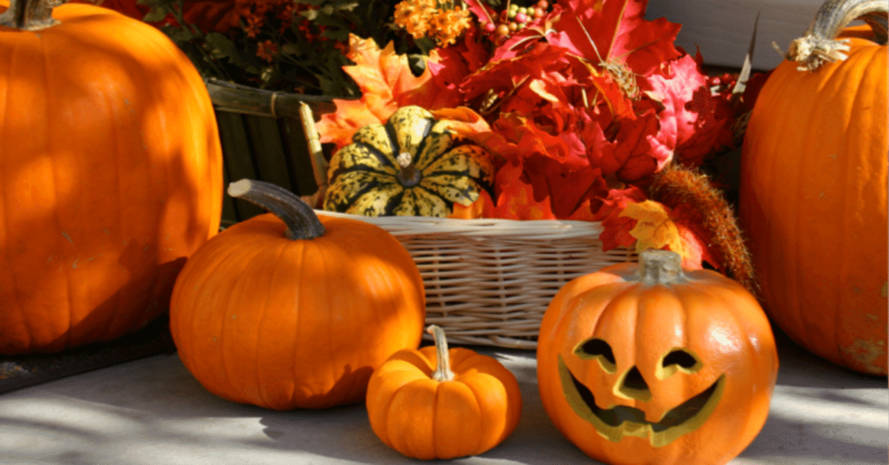 家族で楽しむ新しいハロウィンのアイデア集〜サステナブルでエコなイベントに挑戦〜｜noteも書く占い師 Mako