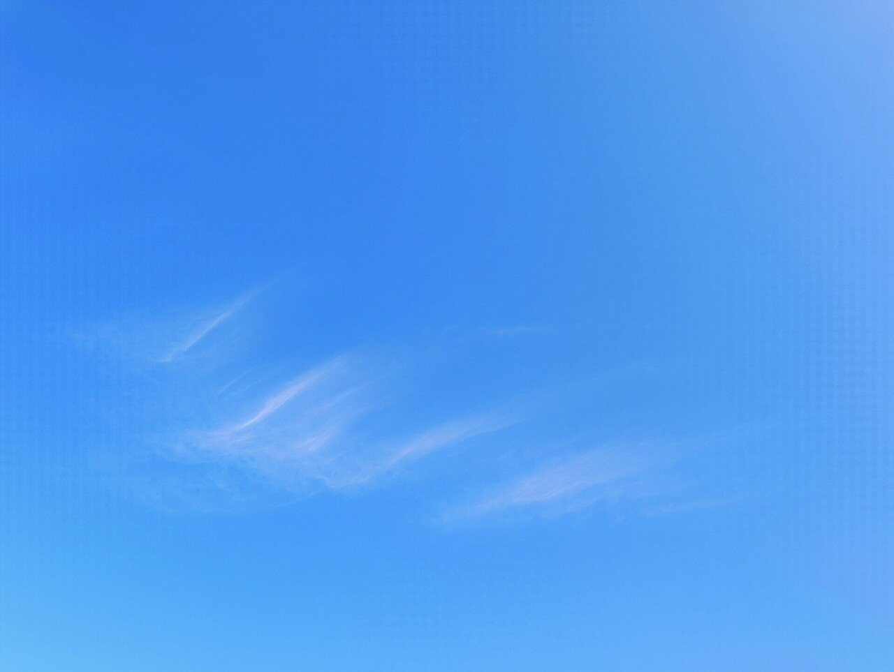 フワッと…｜sora_purecolor