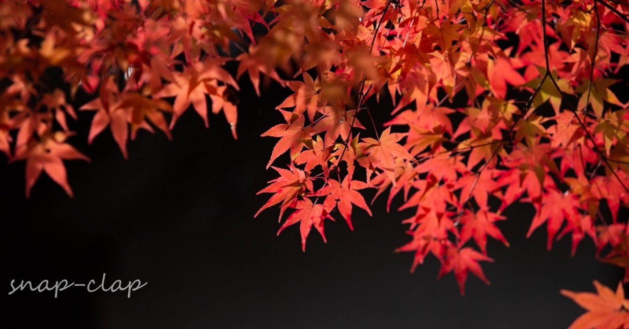 燃える赤｜snap-clap！ ～ホームカメラマンmariko～