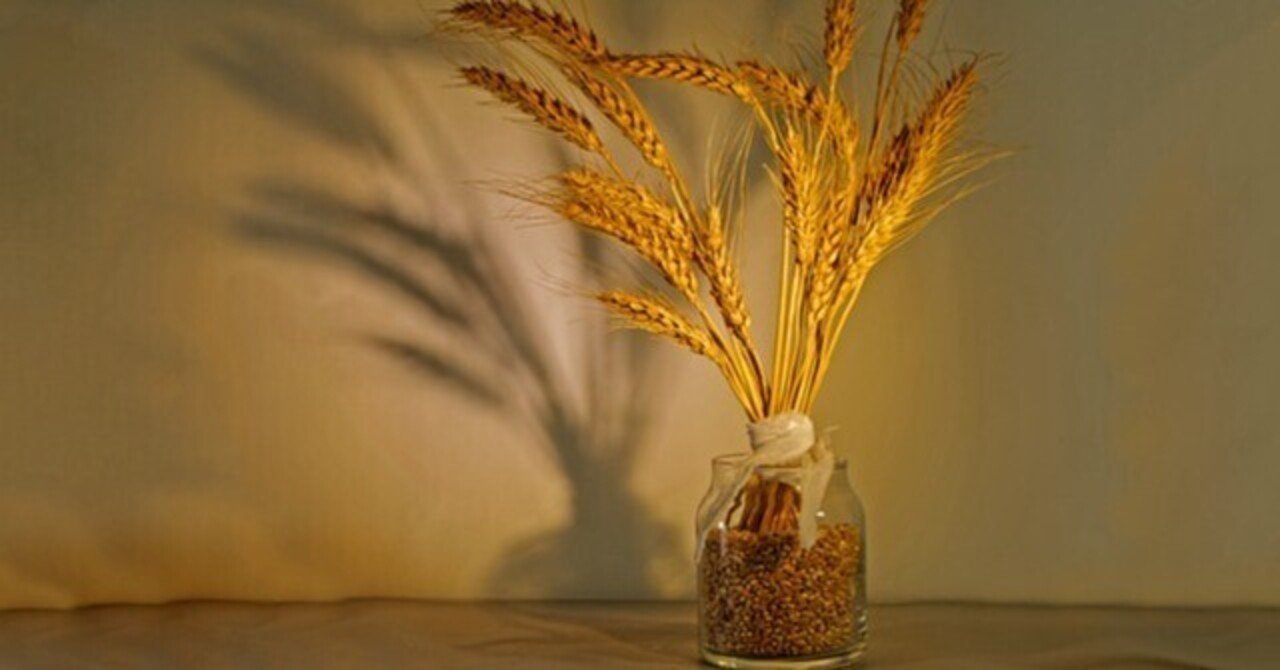 『聞く耳のあるものは聞け』｜TICA Tatsuo