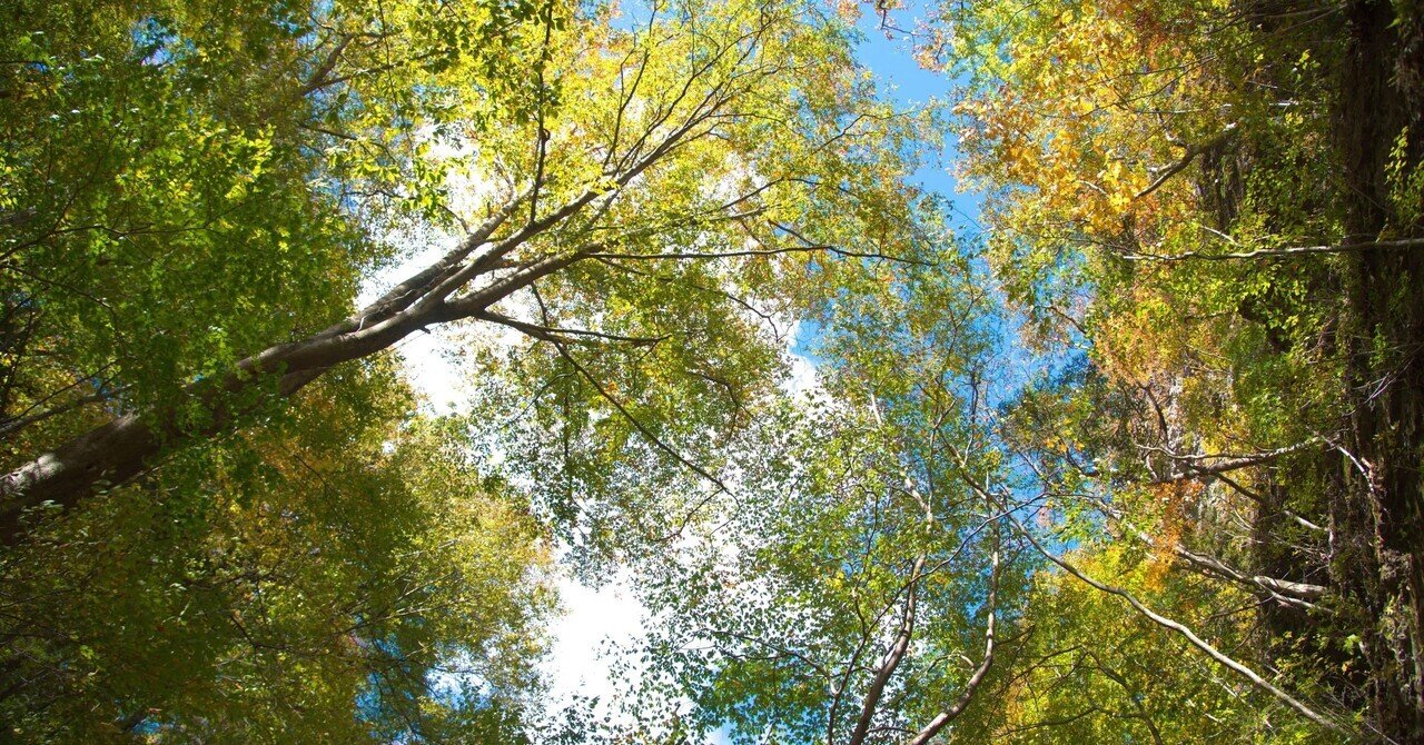 wake up with the sun.｜Akihito Kimura (木村哲人)