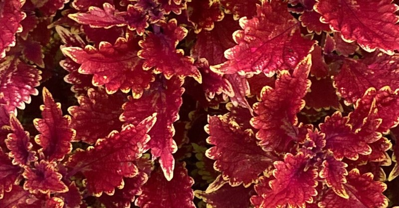 Yukihiko Yamada ｜note