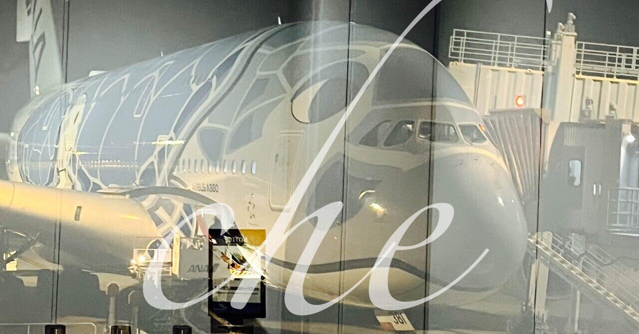 LCCのSCOOTでトランジット｜che