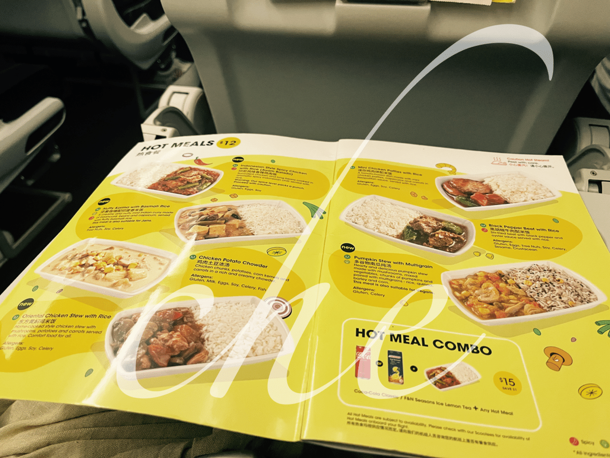 LCCのSCOOTでトランジット｜che