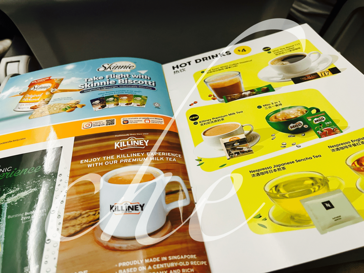 LCCのSCOOTでトランジット｜che