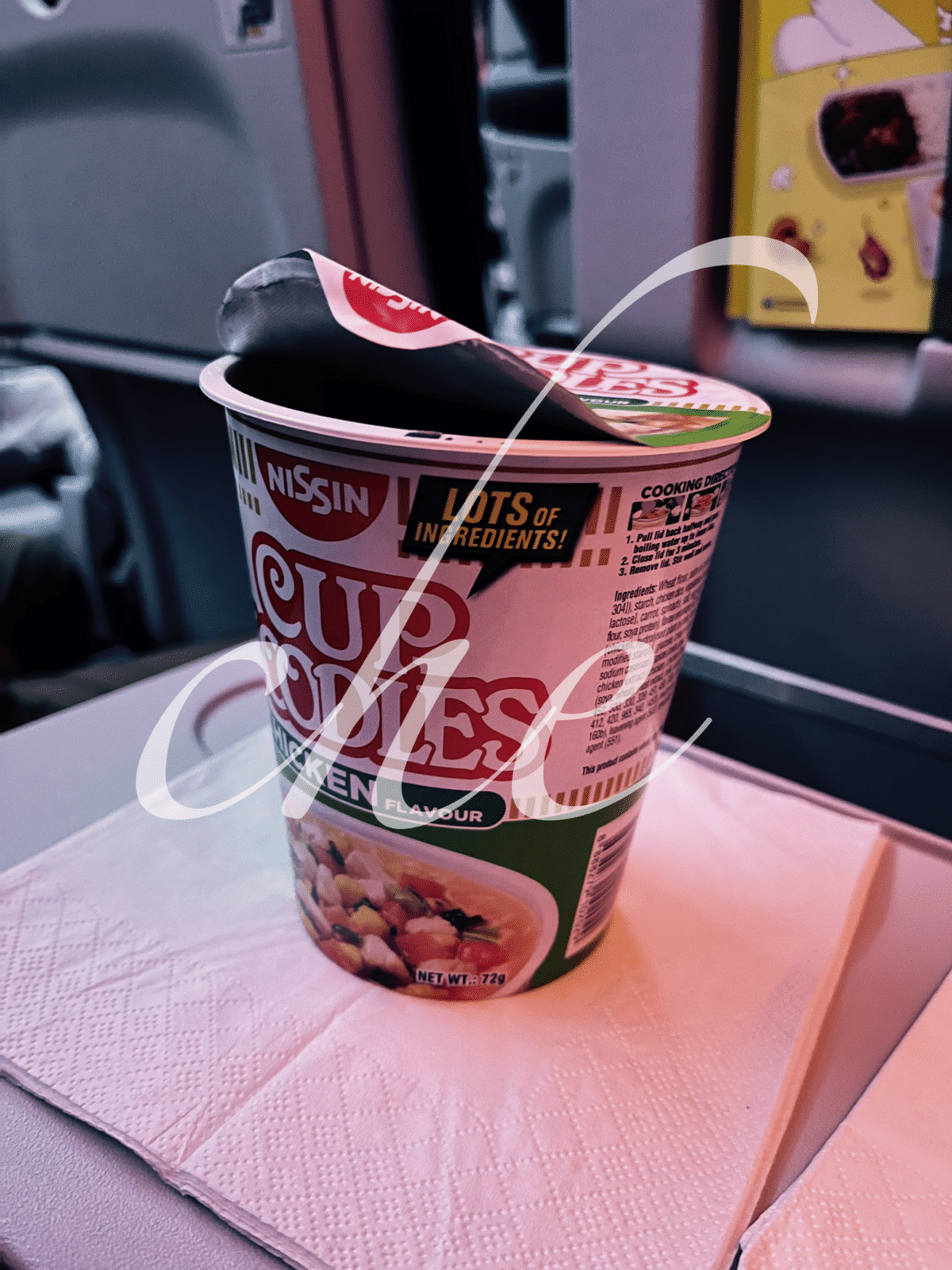 LCCのSCOOTでトランジット｜che