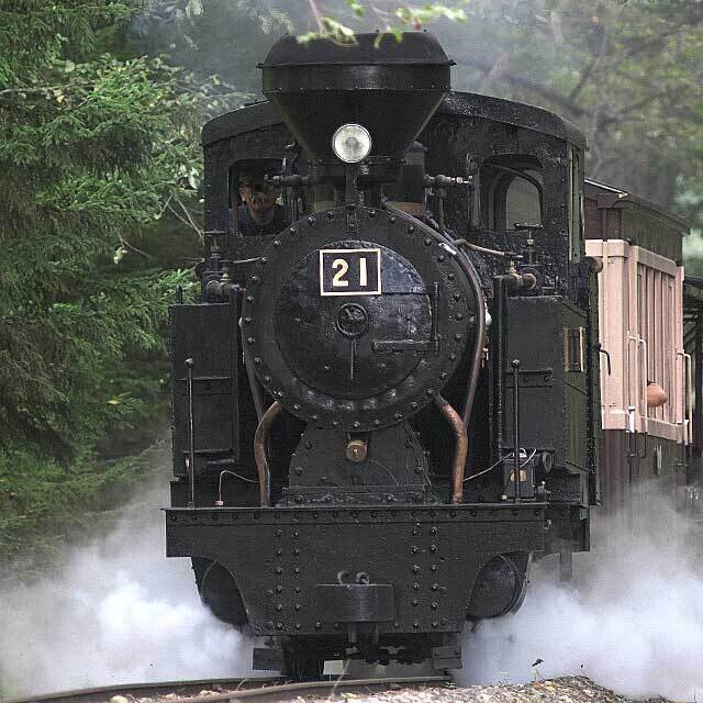 雨宮SL21号-丸瀬布の森園地一周 機関車後部客車で録音｜鈴木写真変電所