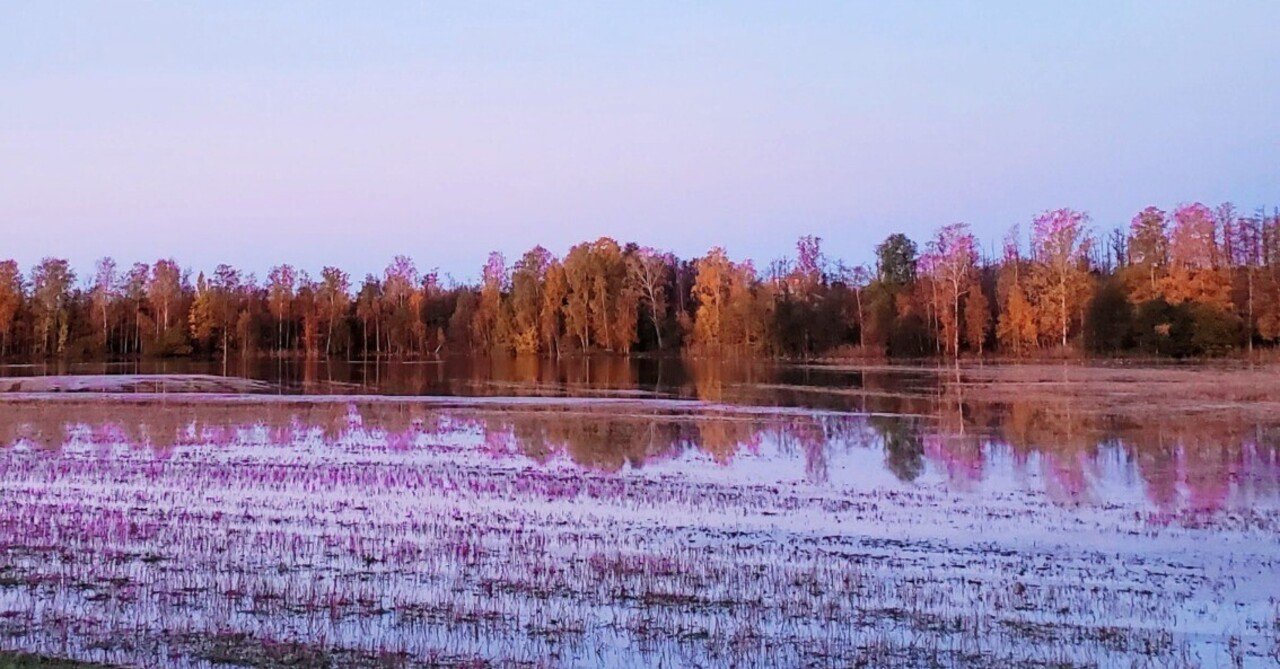 2024年10月 ふりかえり｜Matti🇫🇮