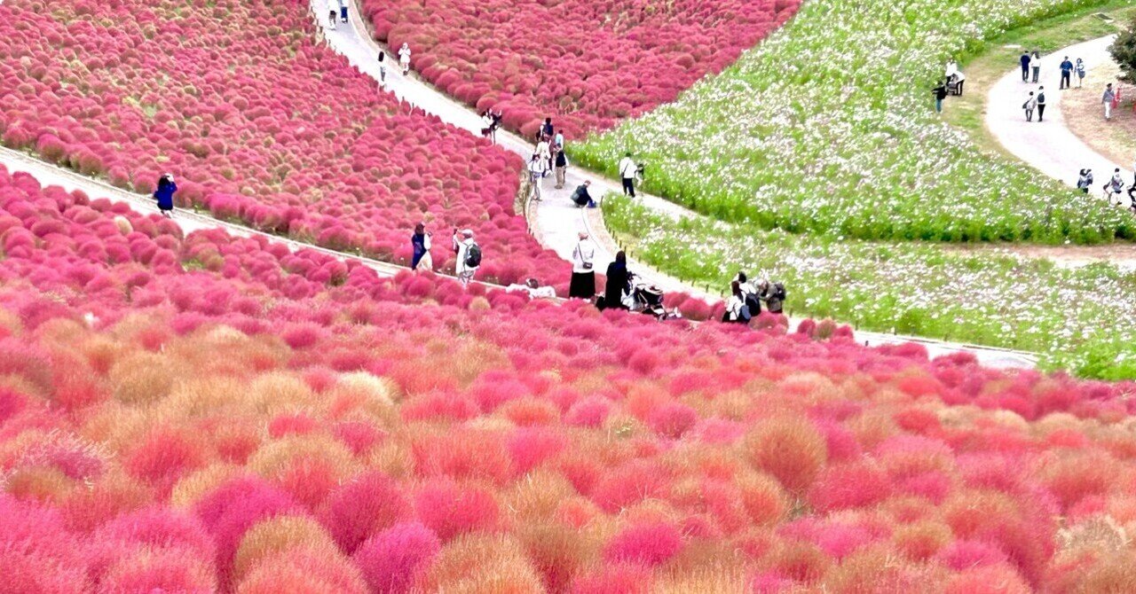 11月のテーマを話し合いました｜Hakuto Eiko