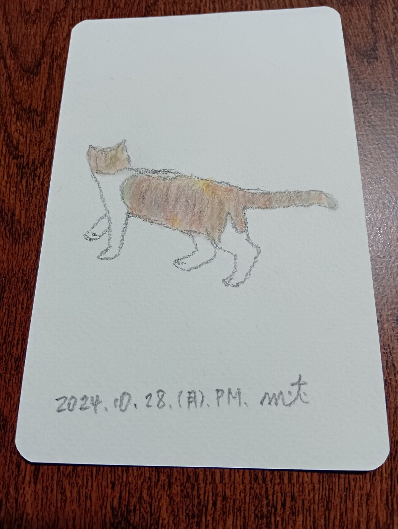 miyukitty日記2024NO15｜miyukitty