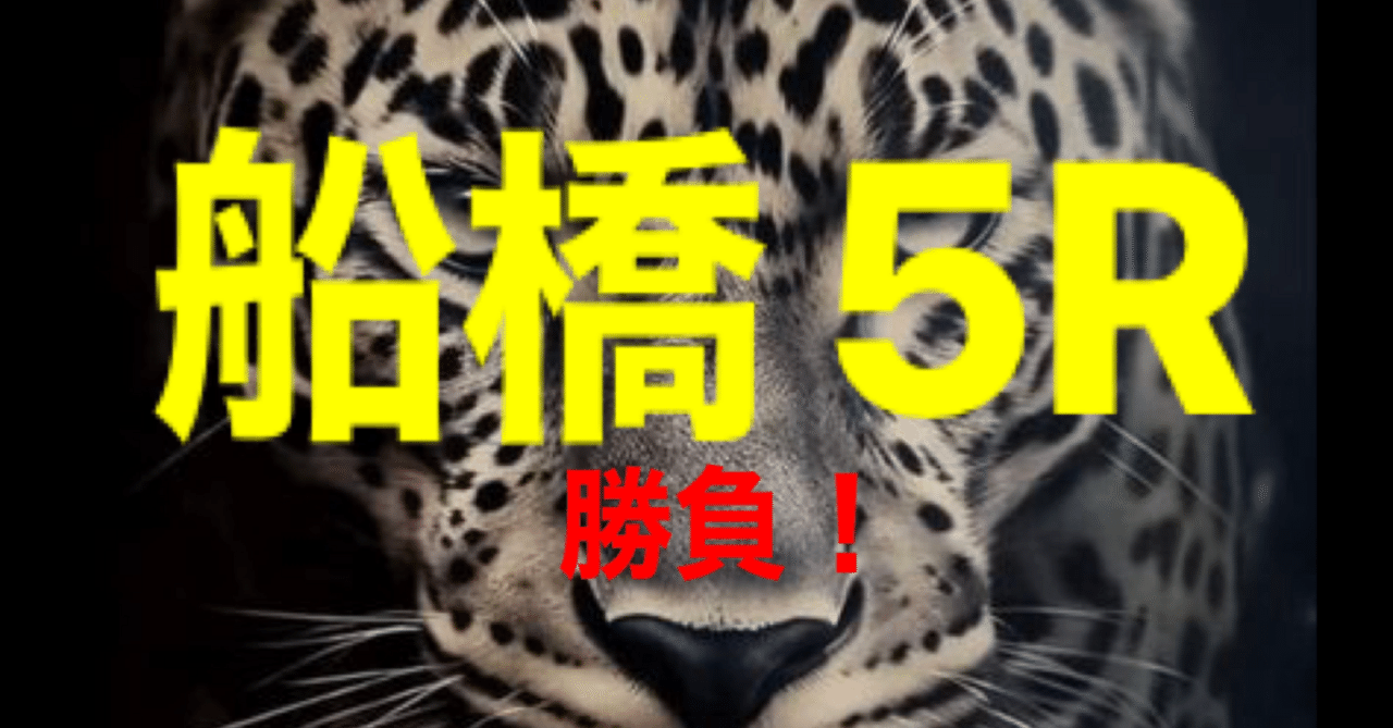 船橋5R勝負！｜パドック師匠【PD master】公式🌐