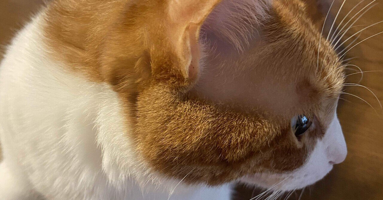 計算能力について｜mutaro