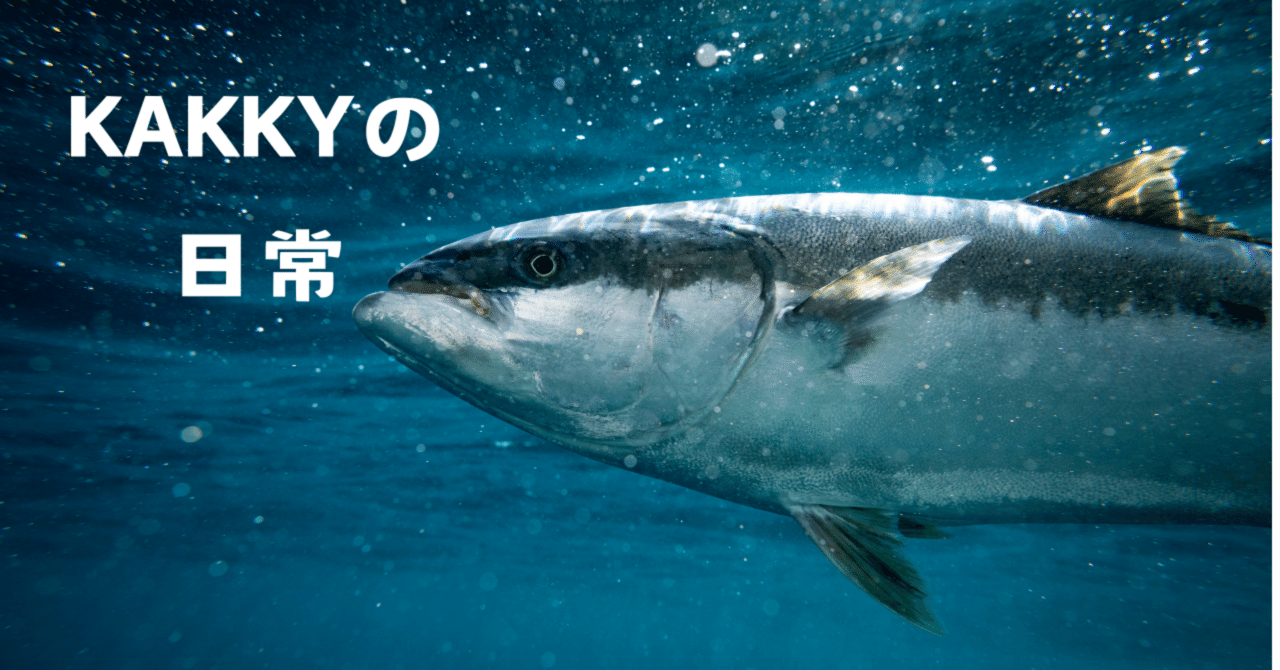 おひさしぶりです 24/10/29｜KAKKY