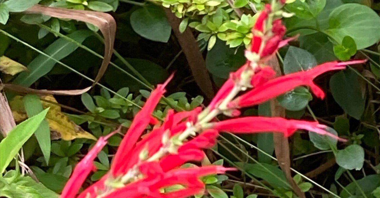 Yukihiko Yamada ｜note