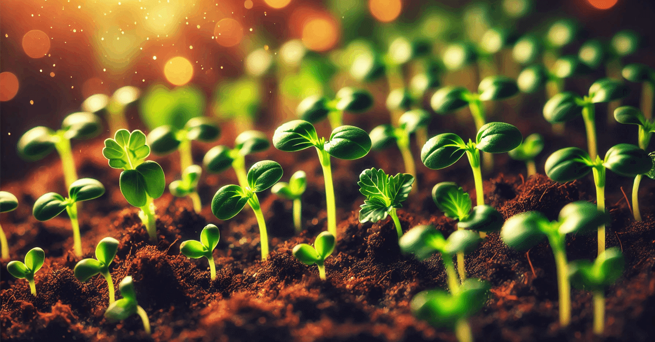 タネを拾ってネタを喰らう｜Daichi