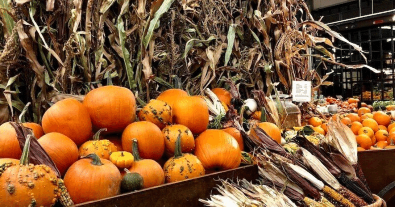 【振り返り2410】御礼倒し | 新刊発売と多言語天才の10月でした｜Keisuke Inohara / 猪原敬介