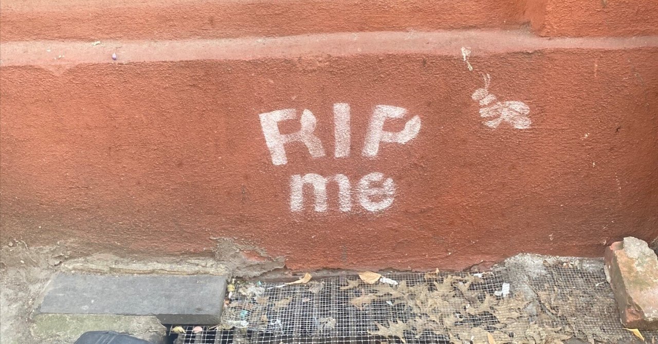 人間界の楽しみ方｜Amika_rdashian