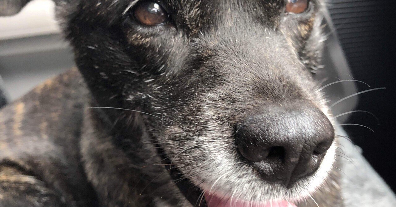 自己紹介①/はじめてのnote｜Kazu