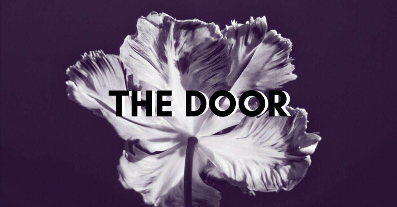 Seiya THEDOOR｜note