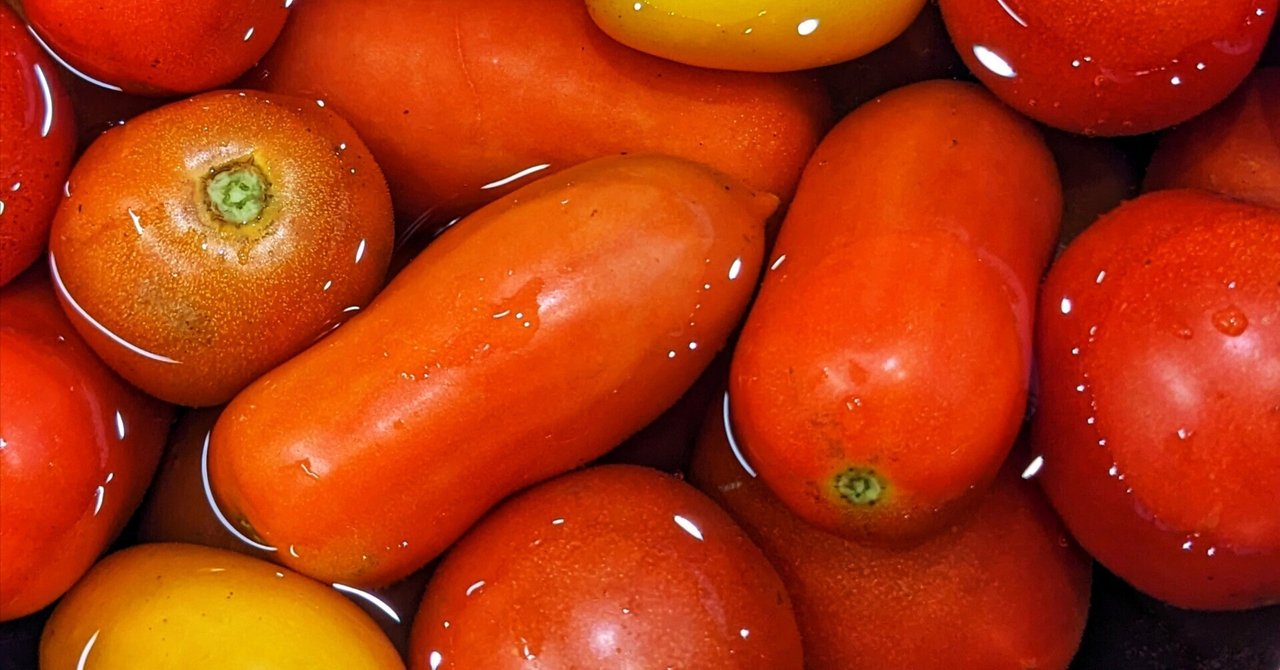 noteへのInstagramの埋め込み方は2通りあり、本文も少し埋め込める｜kako-jun