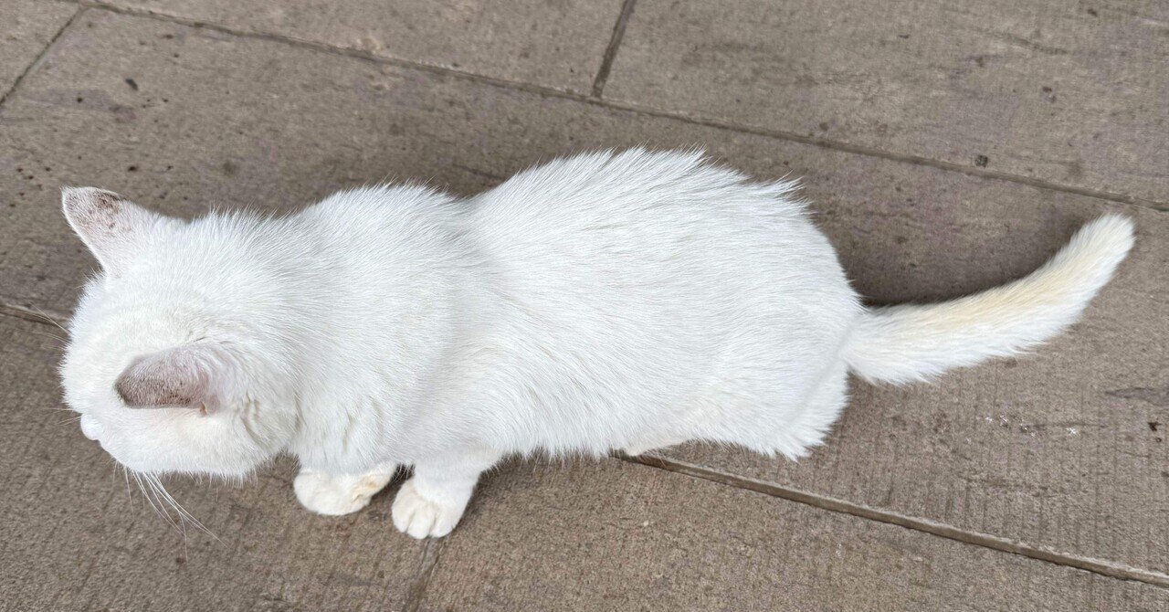 繋がってる。｜Yuya Kikuchi