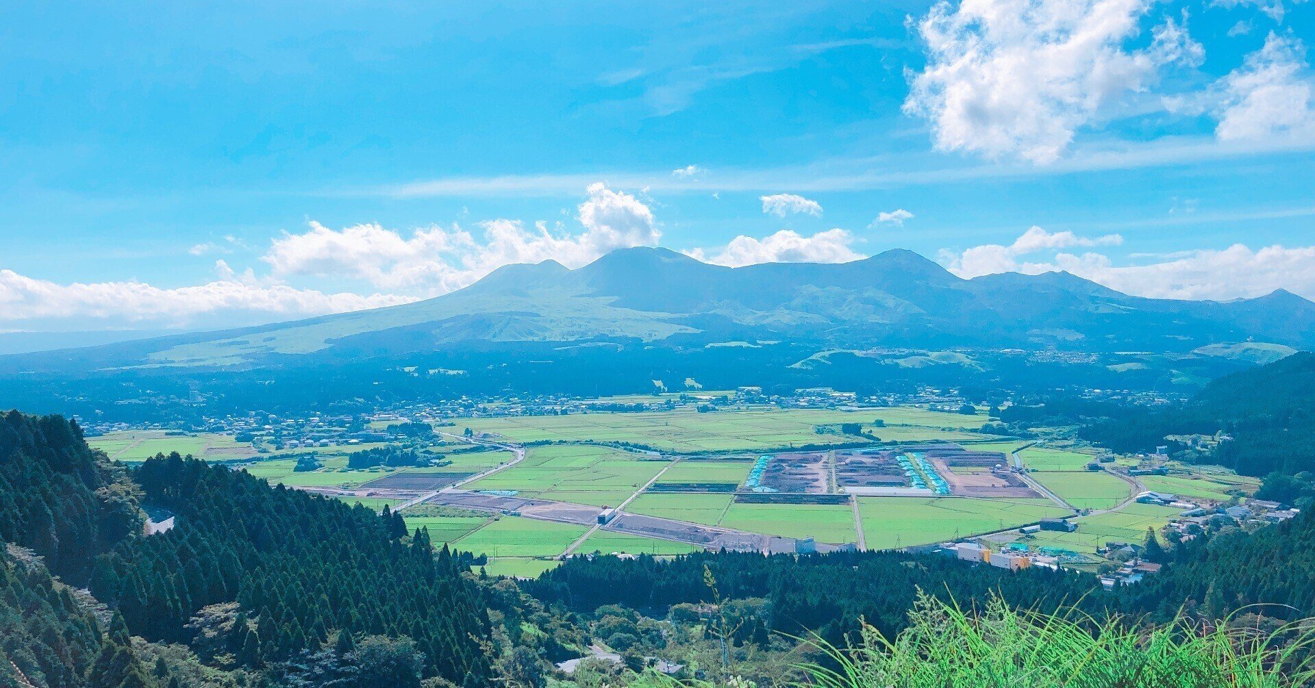 Koki Hashimura｜note