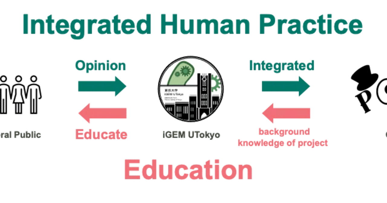 iGEM UTokyo 2024 の Integrated Human Practices と Education について -実践と敗因分析ｰ｜なぎ🦄