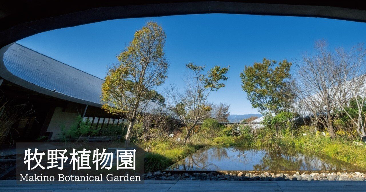 牧野富太郎 ～ 夢の向こうに描いたもの｜ISSA