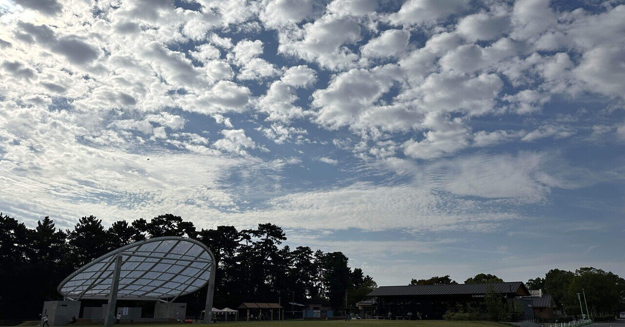 社会に出て働いて分かったこと【前編】｜Gao Liu｜ナラティブ・エディター